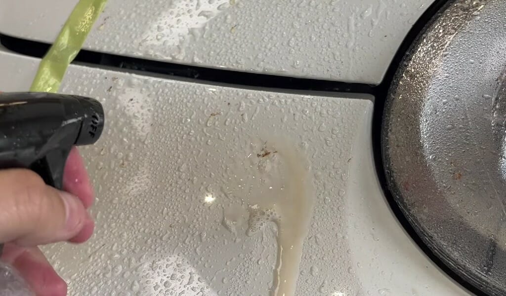 Insektfjerner Test » 3 Produkter i Test [Se Testvinder]